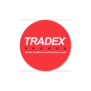 TRADEX FRANCE MOTORS FZE Careers (2025) - Bayt.com