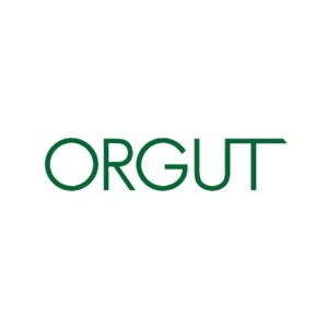 ORGUT Consulting AB Careers (2025) - Bayt.com