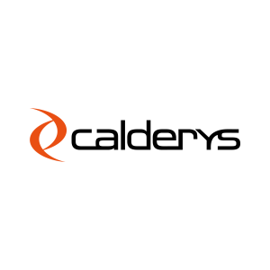 CALDERYS Careers (2024) - Bayt.com