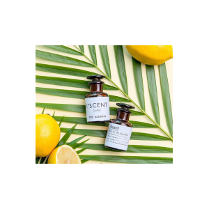 Iscent Dubai Careers (2025) - Bayt.com