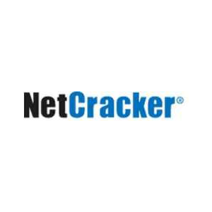 NetCracker Technology Careers (2025) - Bayt.com