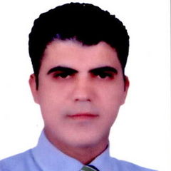 Mohamed Saadawy - Tenders Department Head - Bayt.com People