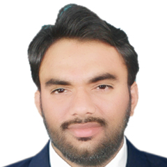 Adeel Akbar - Manager Accounts and Budgeting - Bayt.com People