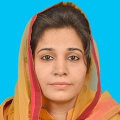 Sanober Salman Shaikh - Assistant Professor - Bayt.com People