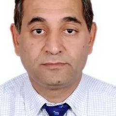 Sanjay Pandita - Sr. Expediting Engineer - Bayt.com People