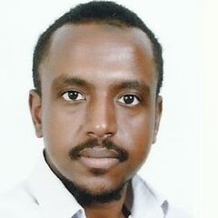 Haitham Mohammed salameh - Senior Systems Engineer - Bayt.com People