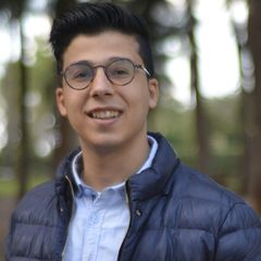 Mohamed El-Sayed Gad - - Bayt.com People