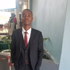 Charles Sikaonga jr - Public Health Inspector - Bayt.com People