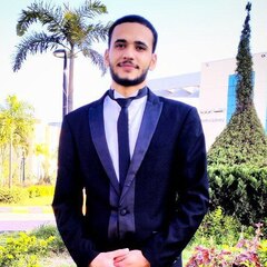 Moghazy Refaat Mohmmed - Artificial intelligence engineer - Bayt.com People