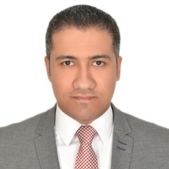 Amir Hafiz - Insurance Brokers Development Manager - Bayt.com People
