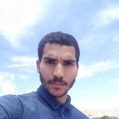 Tarek Adly hussin - - Bayt.com People