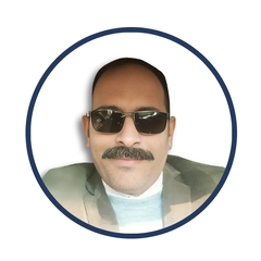 Mohamed Omar - Wholesale Channel Manager - Bayt.com People