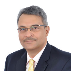 Nagi Hosni - VP Financial Services and Investments/Group Real Estate ...