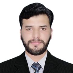 Muhammad Farhan Abbasi - Senior Accountant - Bayt.com People