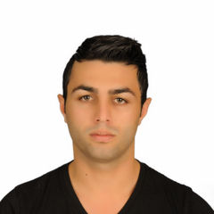 Ali Diab - Researcher - Bayt.com People