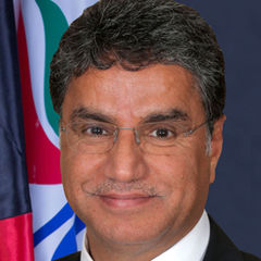 Prof Ismail Abdulla - Board Member - Bayt.com People