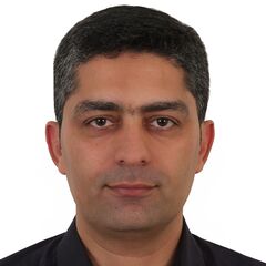 Arash Mohammad Pour - Project manger - Bayt.com People