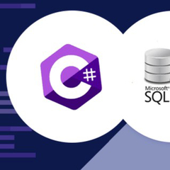 Mohd Edwan - Dot Net /C# Developer, Sql Developer - Bayt.com People