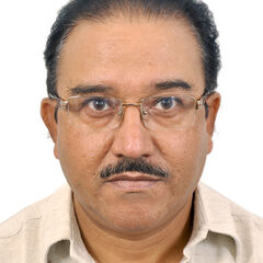 Anil Kumar Gupta - Team Leader - Bayt.com People