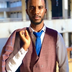 Hazim Elbadri - Electrical Engineer (Training) - Bayt.com People