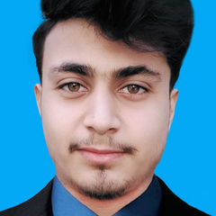 Muhammad Shah - Full Stack Web Developer - Bayt.com People