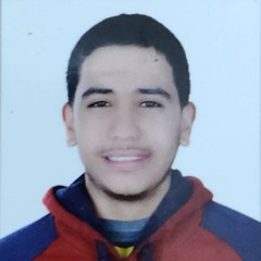 Karim Sayed - - Bayt.com People