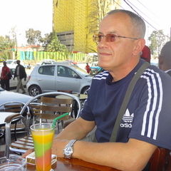 Senad Pecar - Director of Representative Office Algeria - Bayt.com People