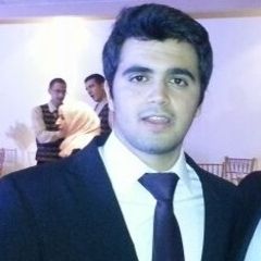 Ali Fawaz - Credit Analyst - Bayt.com People