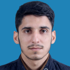 Ali Raza DaRr - Web developer and Digital marketing manager - Bayt.com ...