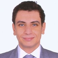 Michael Antoun - Senior Satellite coordinator - Bayt.com People