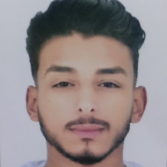 Bahaa El Amrani El Amrani - - Bayt.com People