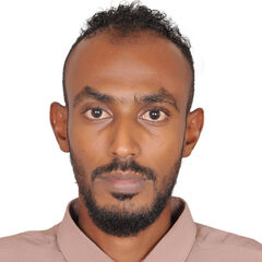 Wail Mohammed Babiker Mohammed Ahmed Ahmed - IT Support Engineer - Bayt ...