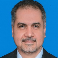 Diaaeldin Elsayed - Director, Strategic Business Development - Bayt.com ...