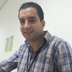 Mohamed Yousry Mohamed Ibrahim - Procurement/Subcontract Manager - Bayt ...