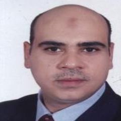 Ahmed Mahrous - Regional Director Commercial, BD & Export Business MENA ...