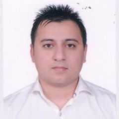 Ali Mahmood - Team Leader - Bayt.com People