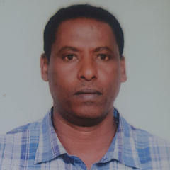 hintsa hailu - Maintenance Manager - Bayt.com People