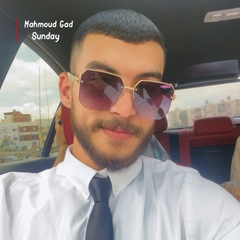 Mahmoud Gad - Medical Representative - Bayt.com People