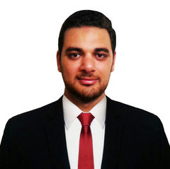 Ismail Ibrahim Ahmed Basal - Design & Estimate Engineer - Bayt.com People